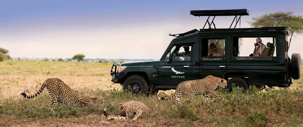 andBeyond CEO Joss Kent on creating luxury in the wilderness - Lux Magazine