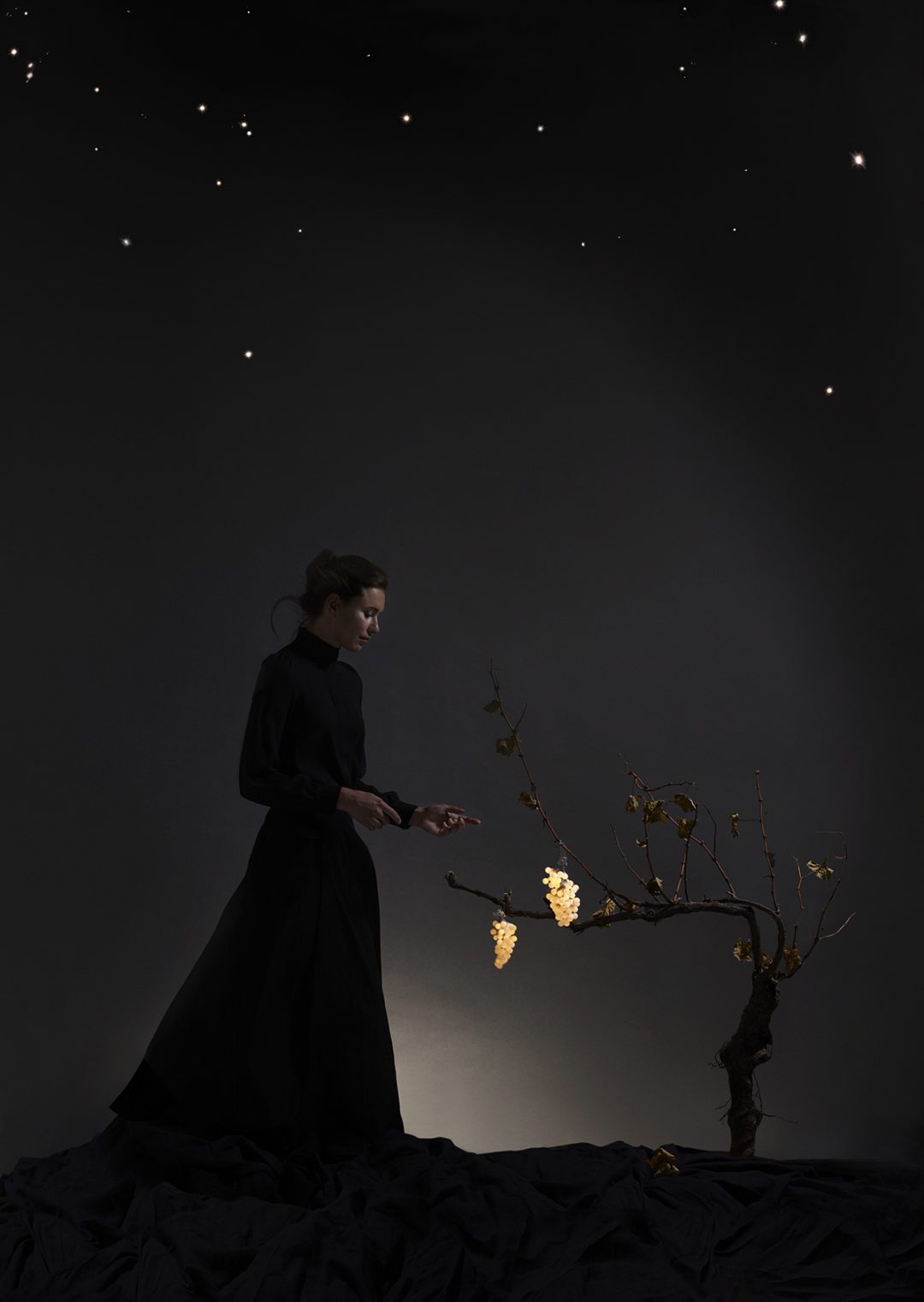 Louis Roederer's CEO Frédéric Rouzaud on art and hospitality - Lux Magazine