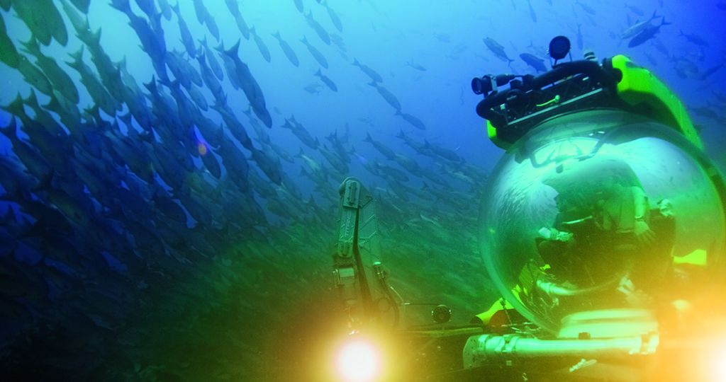 Bridgewater Capital founder Ray Dalio on ocean philanthropy - Lux Magazine