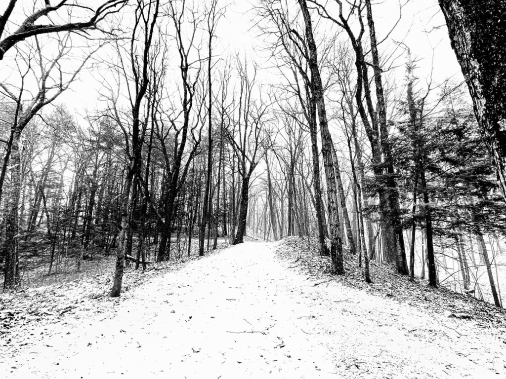 Henry Lohmeyer on the impact of words and photography - Lux Magazine