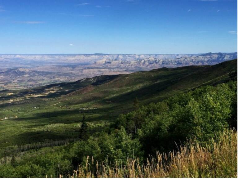 Hansjörg Wyss on his pioneering work in conservation - Lux Magazine