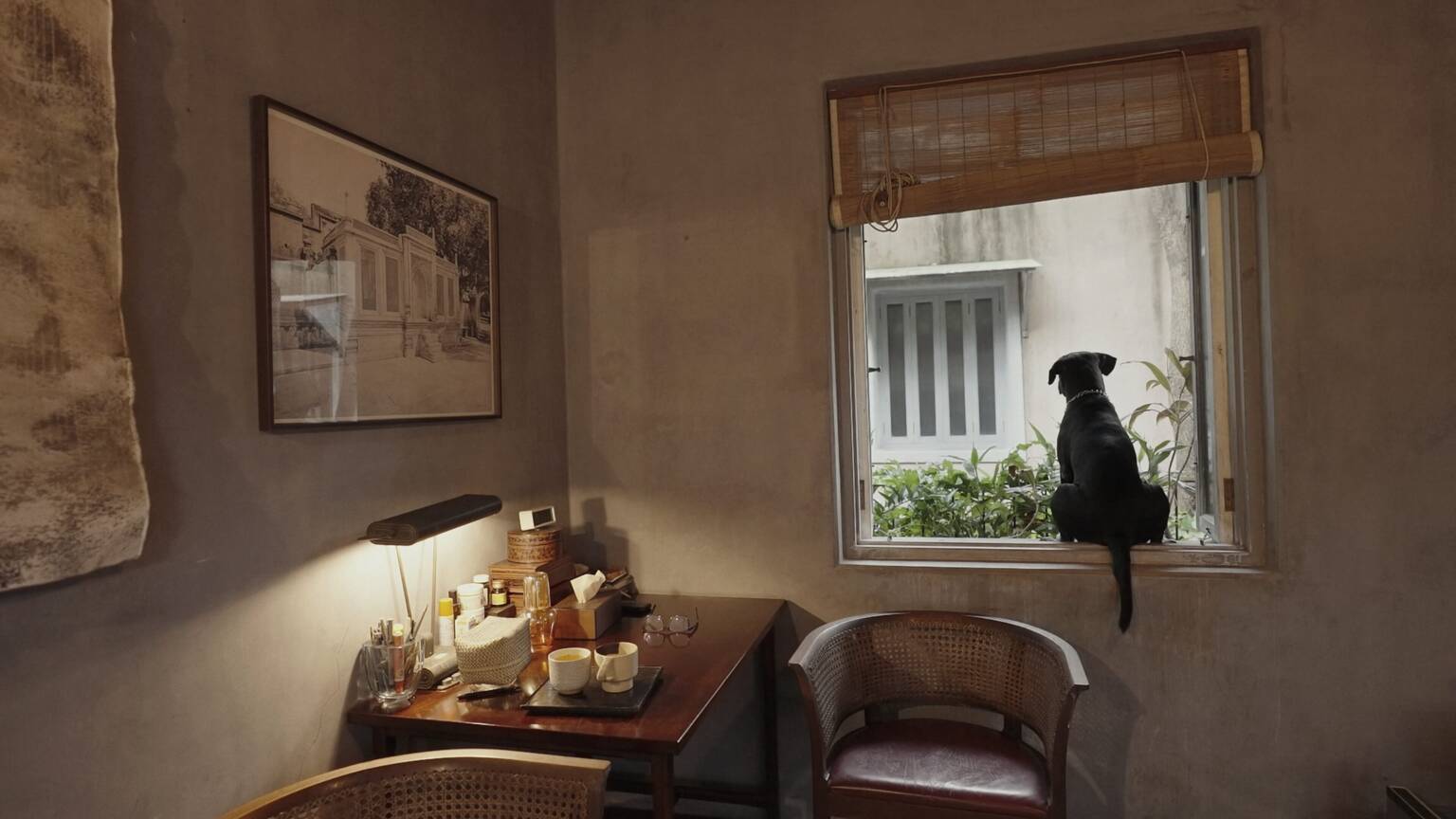 Stefano Rabolli Pansera on the St Moritz Art Film Festival - Lux Magazine