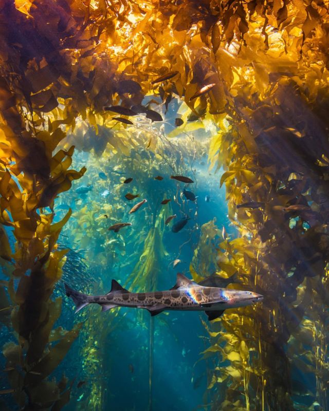 Boodles' Honour and Jody Wainwright on sustainability in the jewellery ...